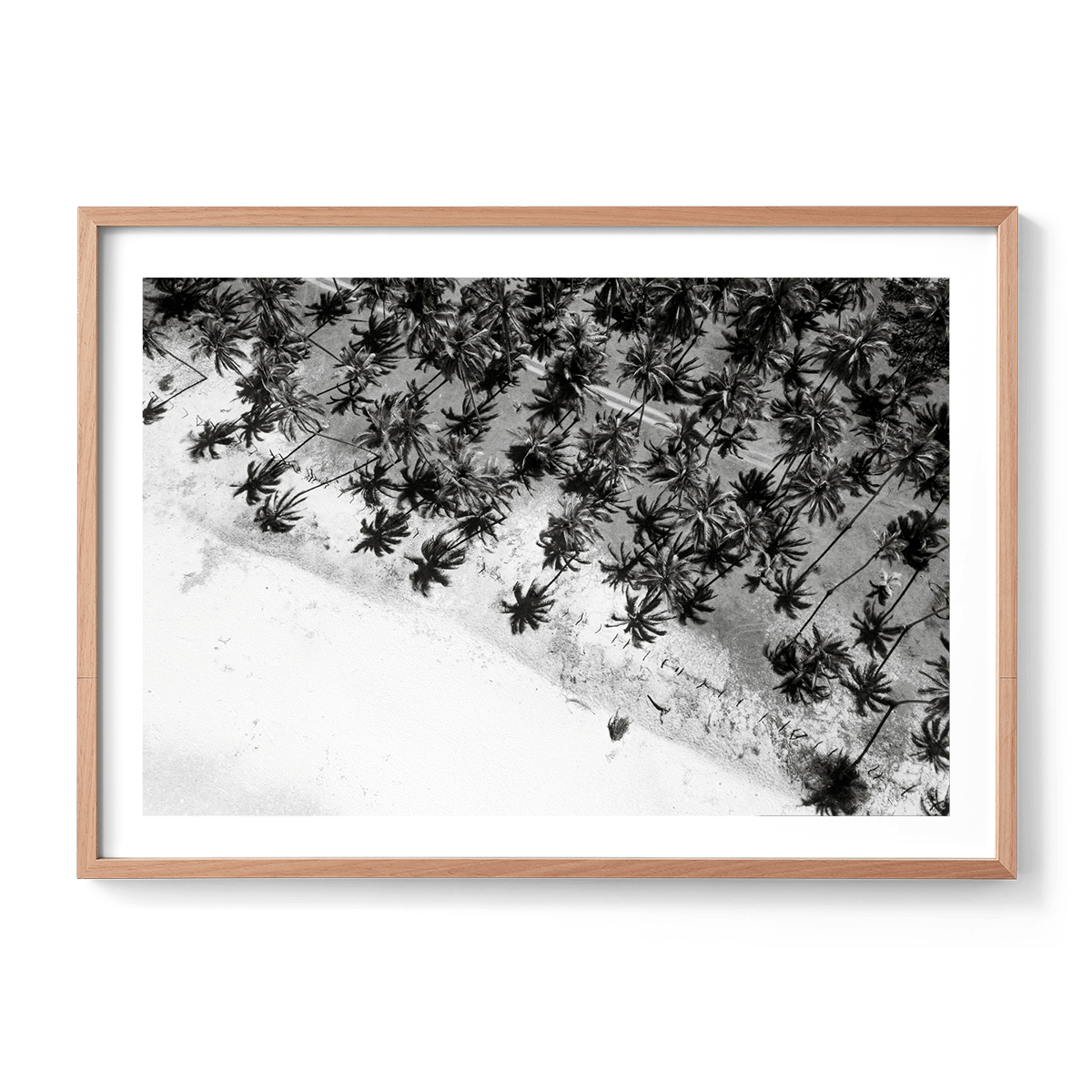 Palm From Above – Almost Real